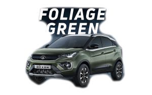 2020 Tata Nexon Colors: Red, Silver, Grey, Blue, Green, White - GaadiKey