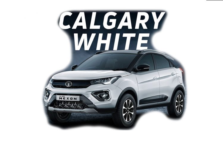 2020 Tata Nexon Colors: Red, Silver, Grey, Blue, Green, White - GaadiKey