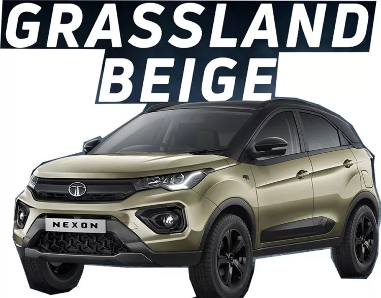 2022 Tata Nexon Colors: Blue, Green, Grey, Beige, Silver, Red, White ...