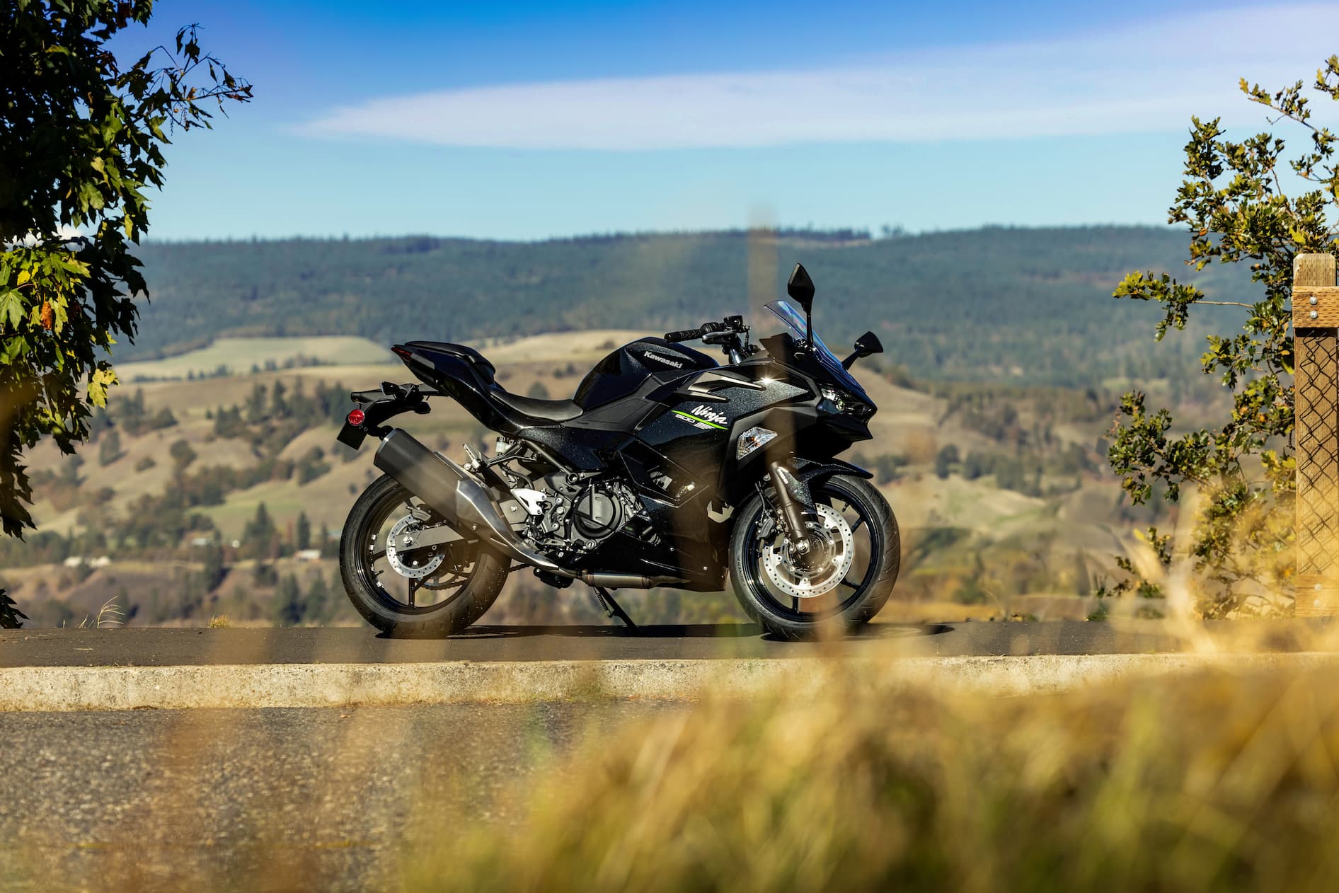 2024 Kawasaki Ninja 500 Photo Gallery - GaadiKey