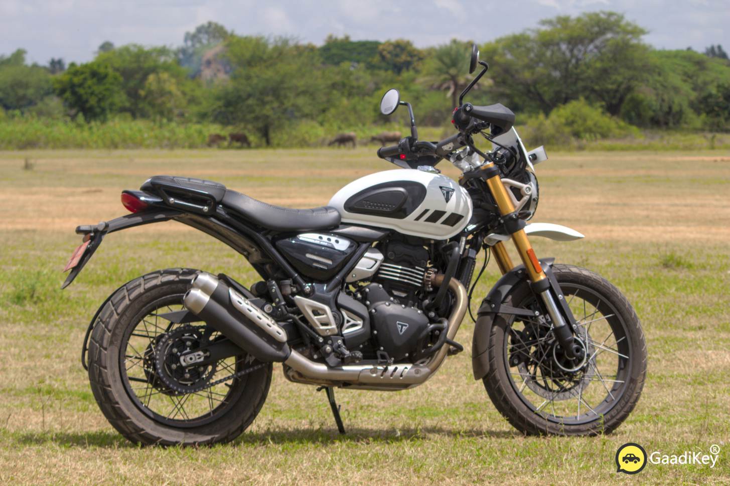 Triumph Scrambler 400XC White Color Photos (Vanilla White) - GaadiKey