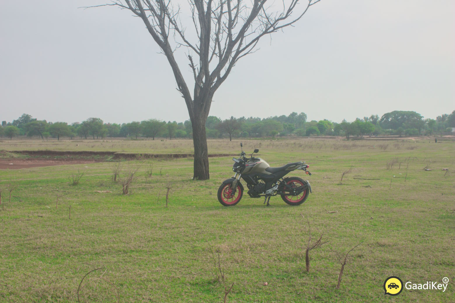 Yamaha FZ RAVE Review: Best Sporty 150cc Motorcycle to Buy in 2026 ...